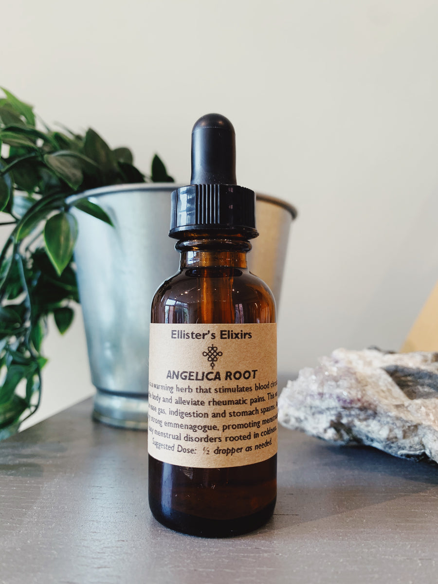 Angelica Tincture – Ellister's Elixirs